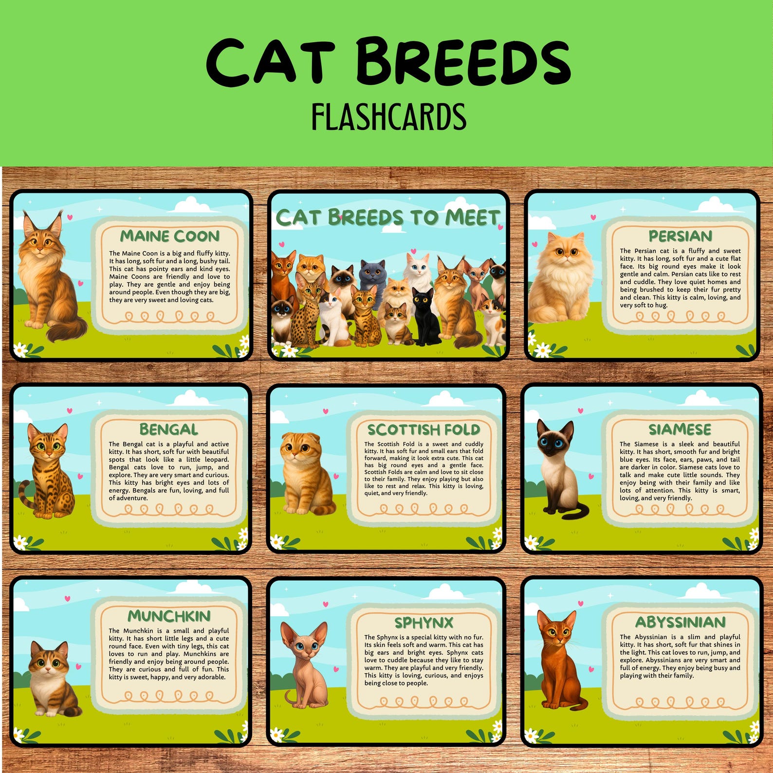 40+ Cat Breeds Flashcards Printable | Toddler Animal Learning Cards ...