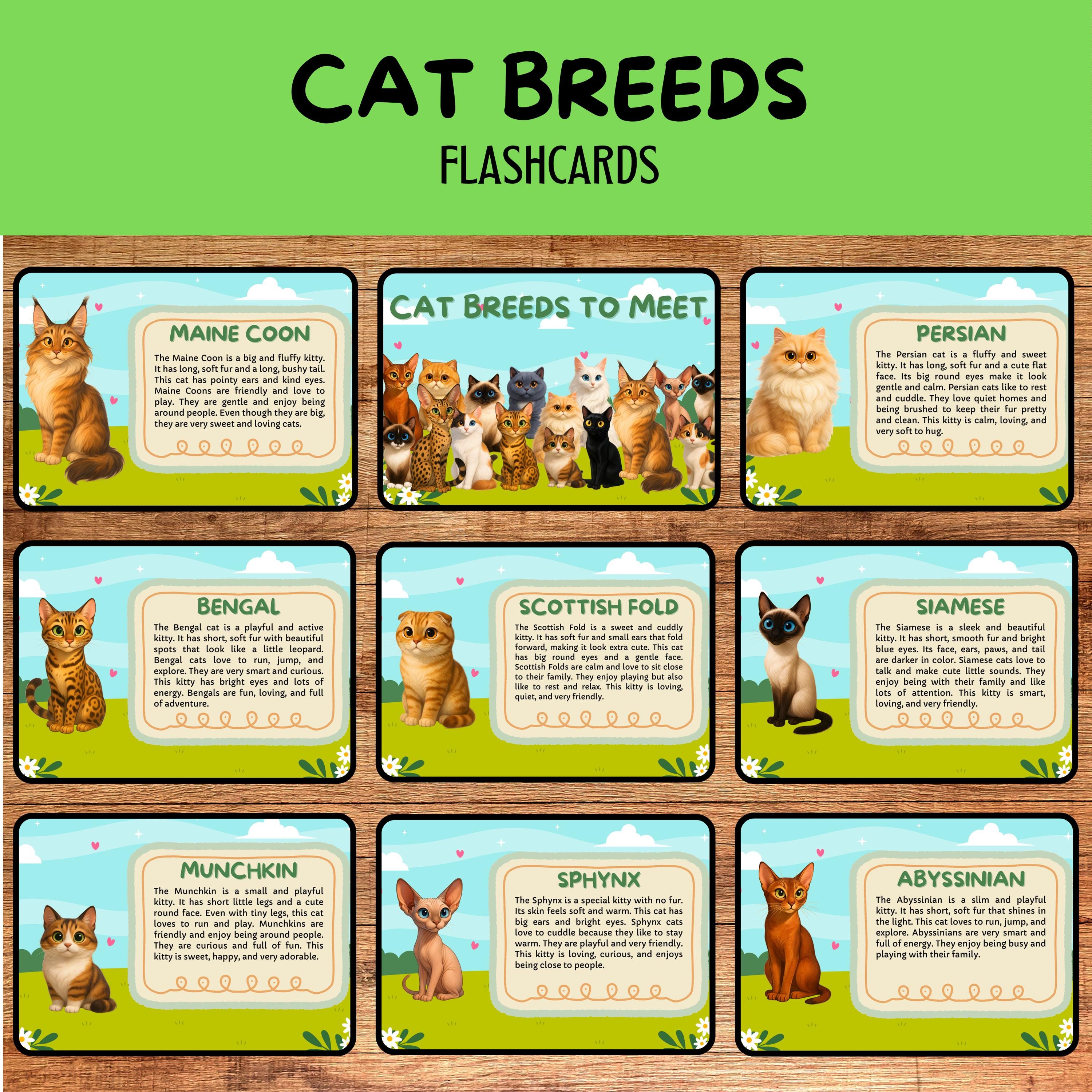 40+ Cat Breeds Flashcards Printable | Toddler Animal Learning Cards ...