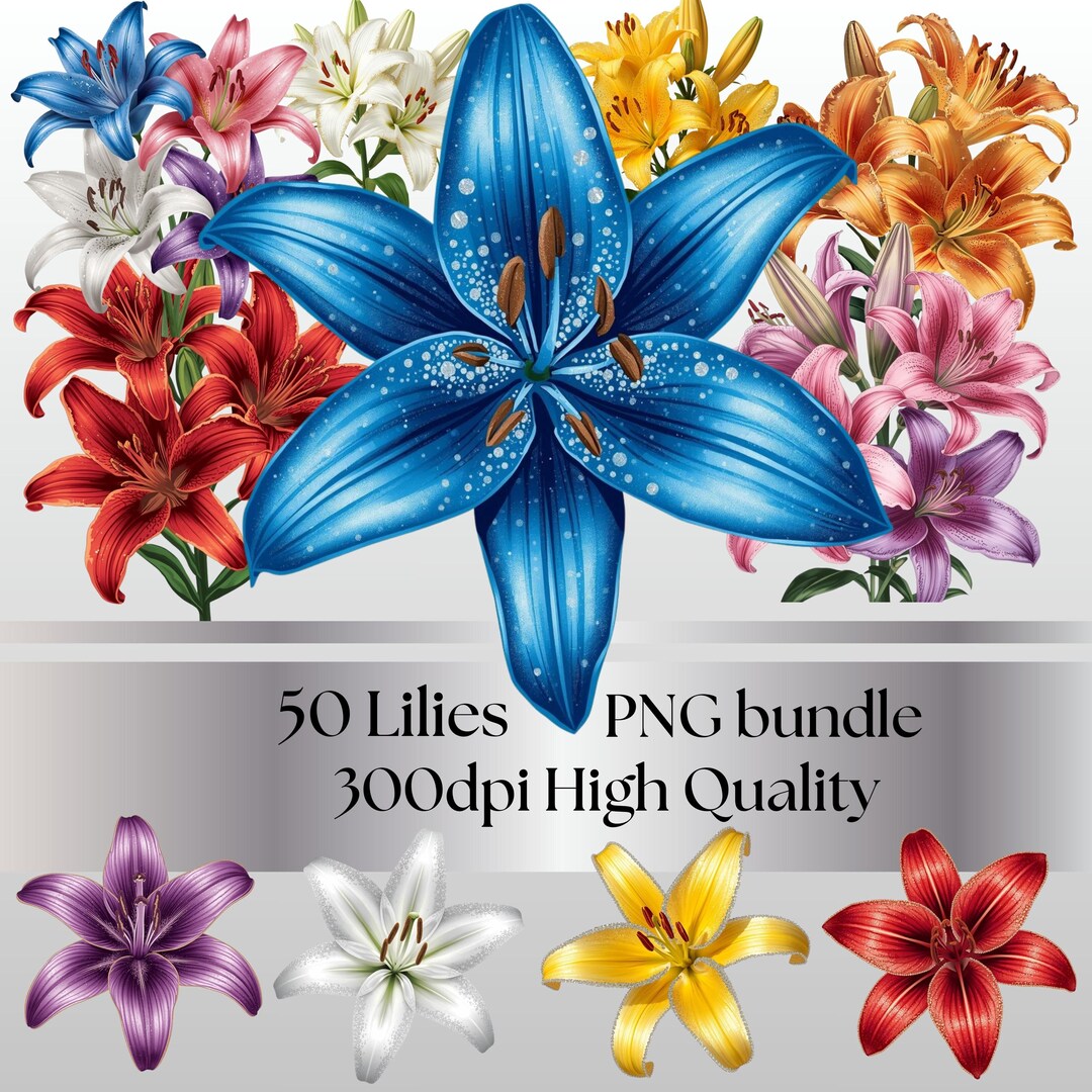 Sparkly Lilies 50 PNG Bundle (digital Download) - Etsy