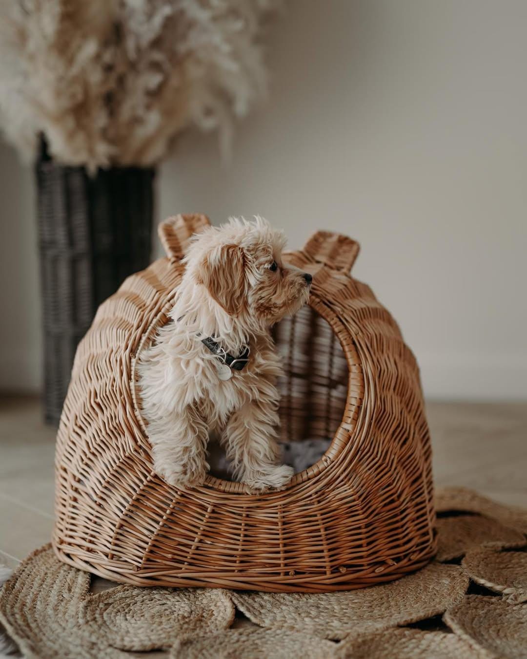 Wicker Pet Carrier – Rattan Travel Crate for Cats & Small Dogs, Rustic ...