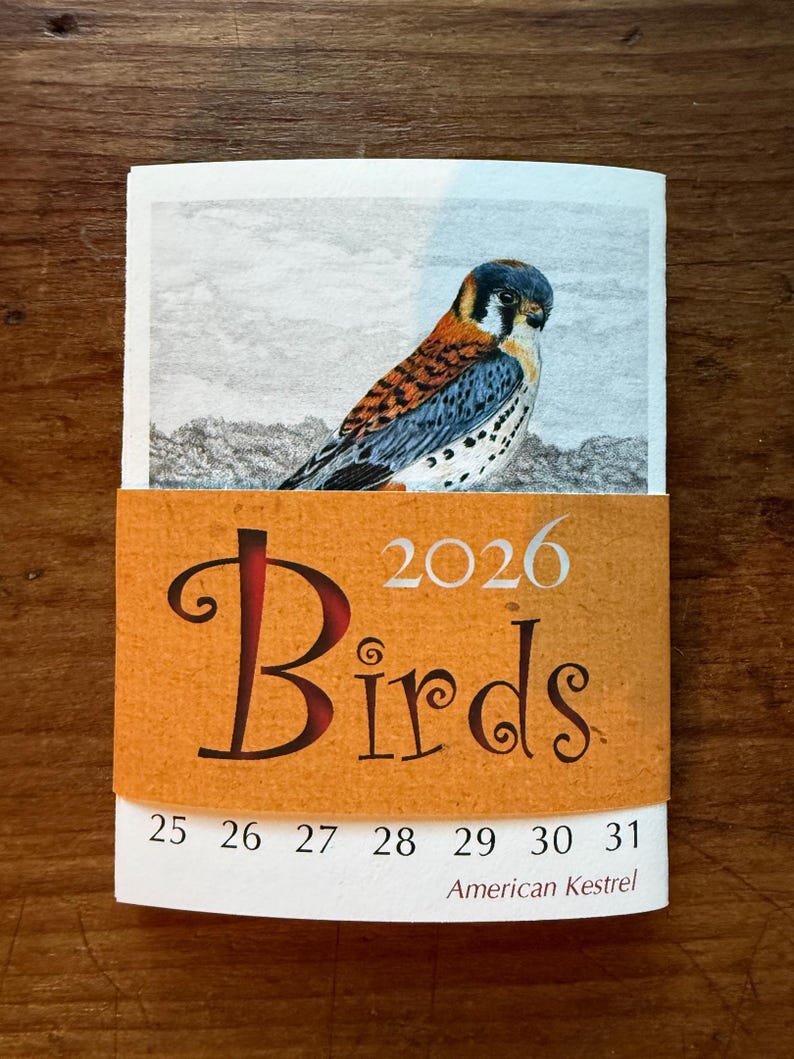 2026 Bird Calendar - Etsy