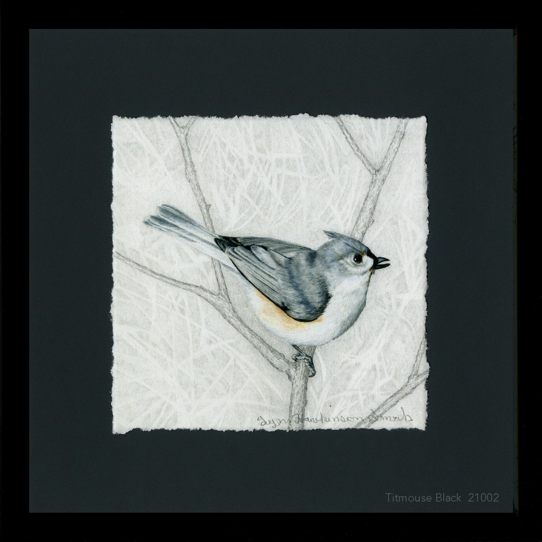 Titmice, Tufted Titmouse, Framed - Etsy
