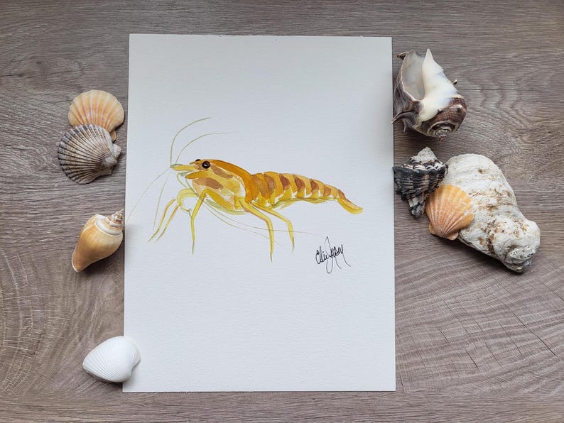 Original Watercolor Shrimp - Hand Painted 9x12 Painting Colorful ...