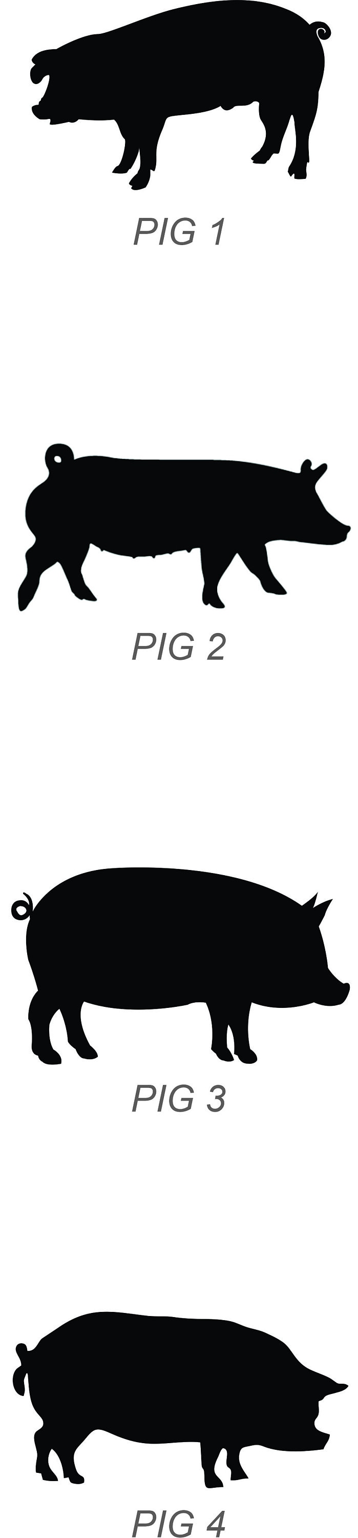 Personalized Pig Belt Buckle Custom Belt Buckles Engraved | Etsy