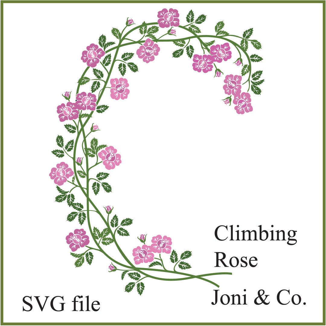 Rose, Climbing Rose Svg,printable, Cutting, Iron on Transfer for Fabric ...