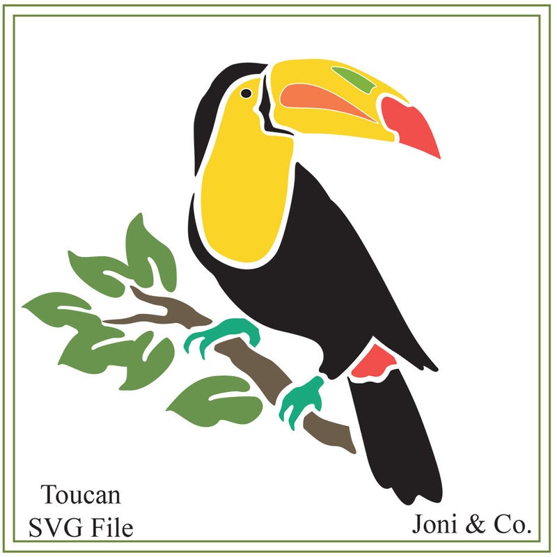Toucan Svg - Etsy