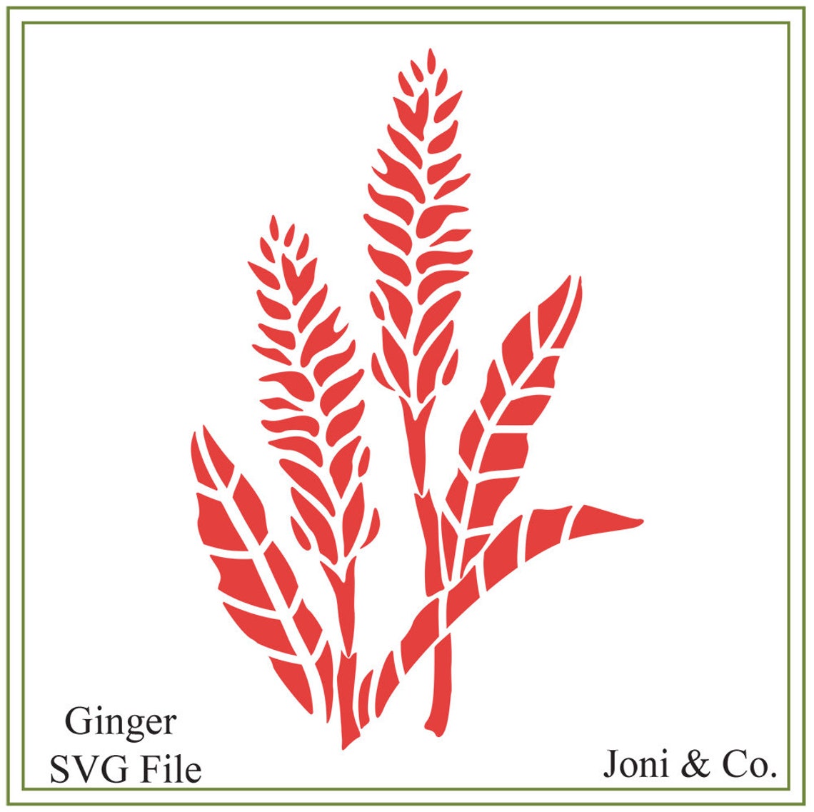 Ginger Flower Svg Tropical Flowers Svg Hawaii SVG File - Etsy