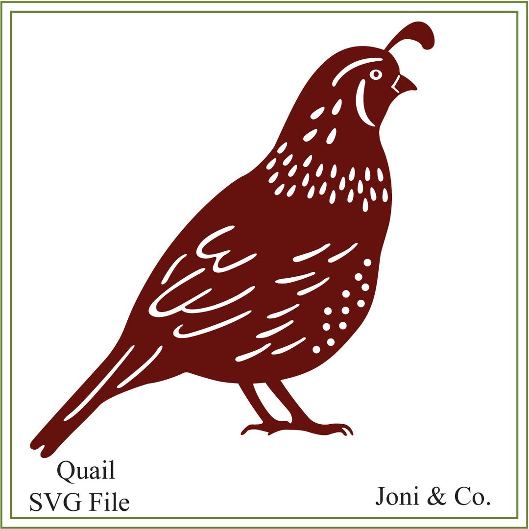 Quail Svg, Bird Svg, Wildlife Svg, Partridge Svg, Printable, Vinyl ...