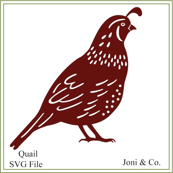 Quail svg Bird svg wildlife svg Partridge svg printable | Etsy