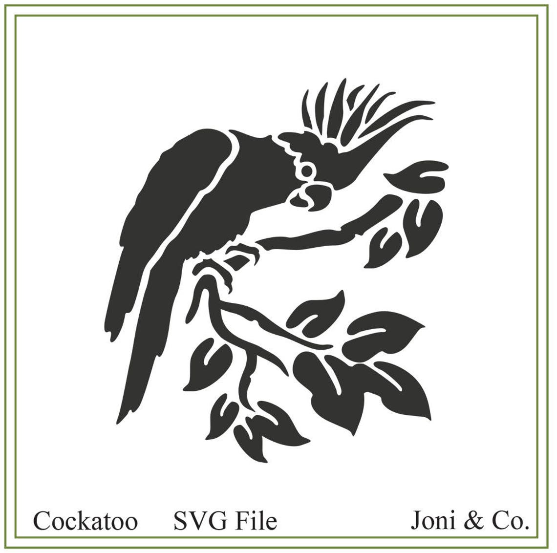 Cockatoo Svg Tropical Bird Illustration Tropical Animals SVG - Etsy