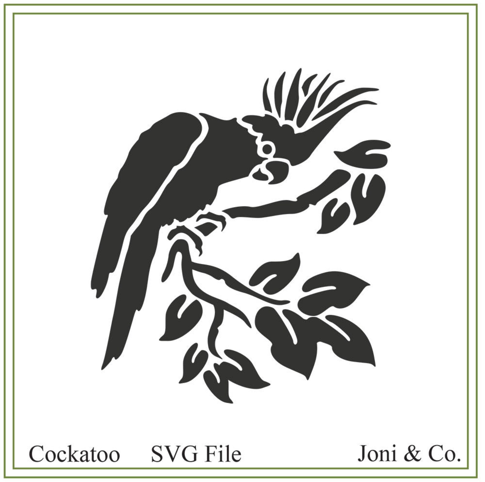 Cockatoo Svg Tropical Bird Illustration Tropical Animals SVG - Etsy