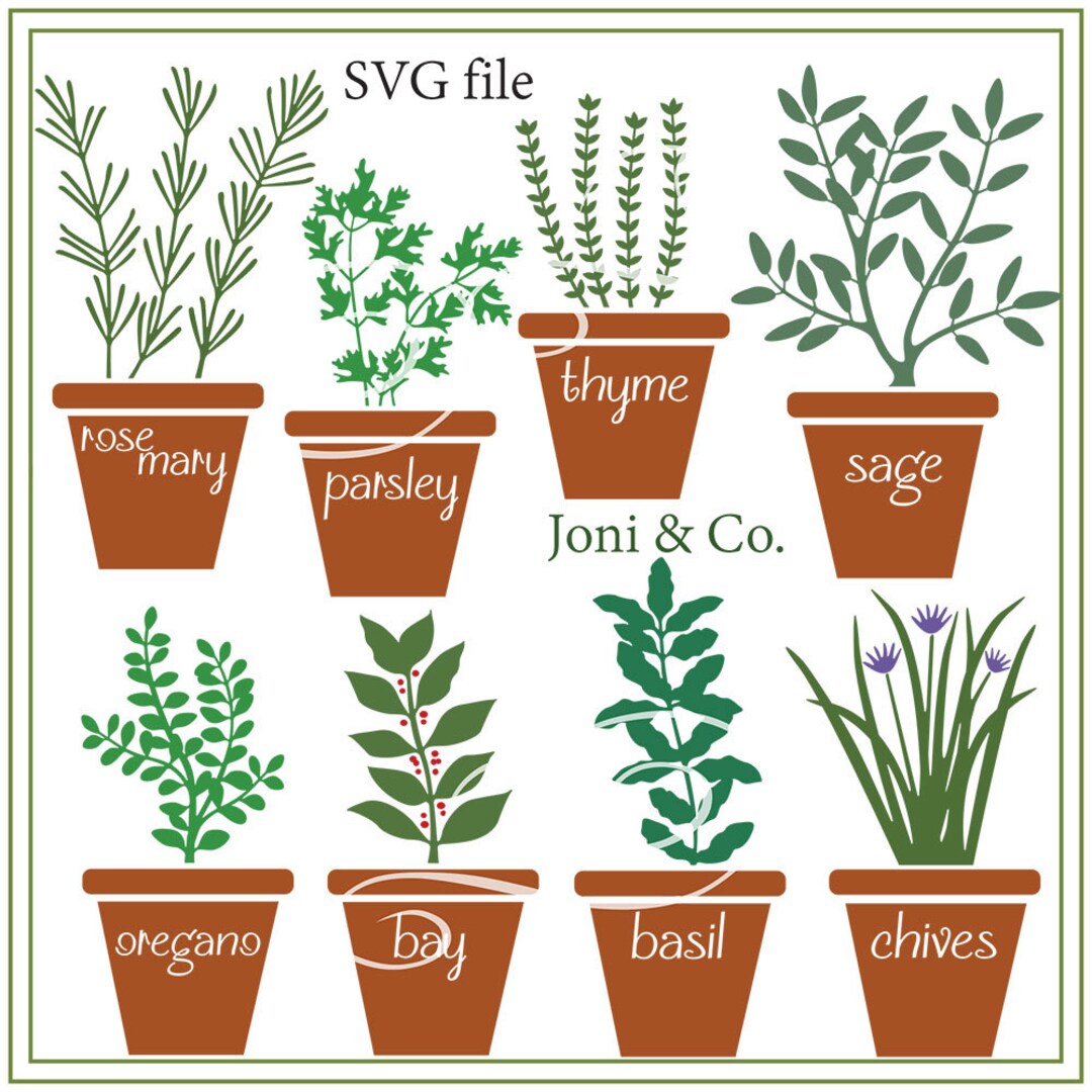 Herbs Pots SVG File, Herbs Svg, SVG File, Vinyl Cutting, Printable ...