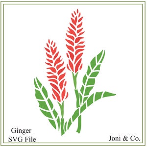 Ginger Flower Svg, Tropical Flowers Svg, Hawaii SVG File, Flower ...