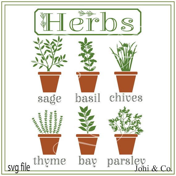 Herbs Sign SVG File Herbs Svg Glass Block Designsvg File | Etsy Australia