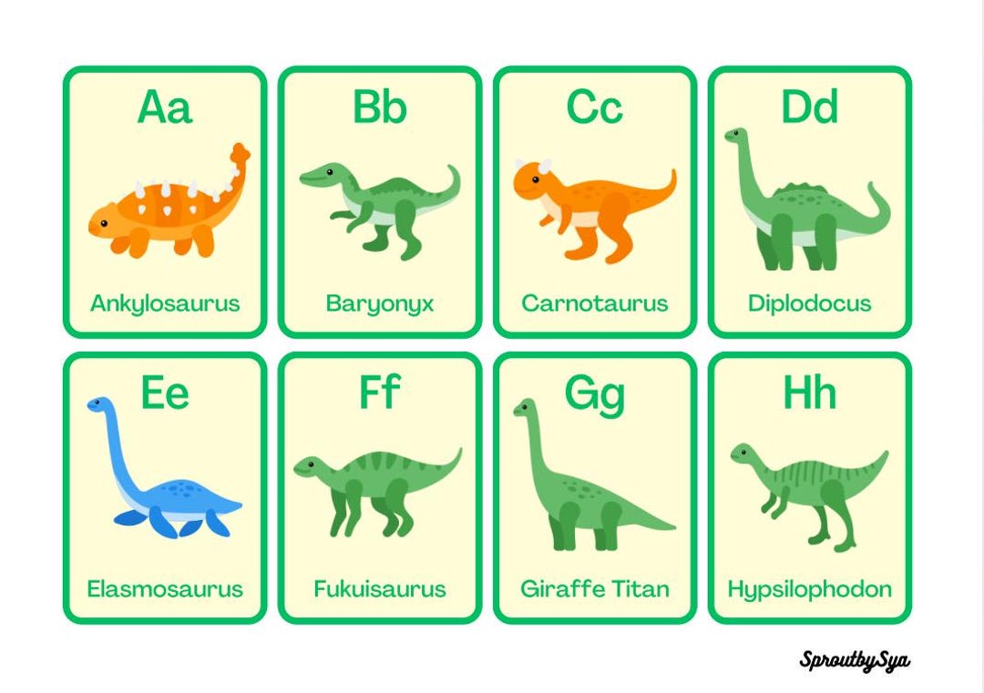 24 Dinosaur Flash Cards; Dinosaurs for Kids; Dinosaurs; Animal Flash ...