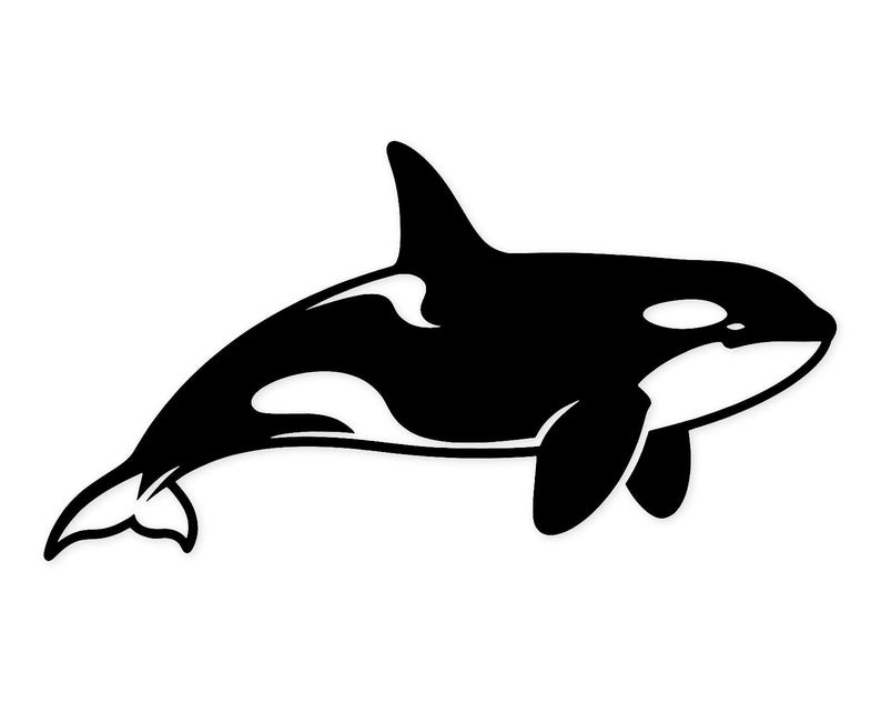 Orca Profile Svg Png: Cut Ready Digital Design for Cricut Silhouette - Etsy
