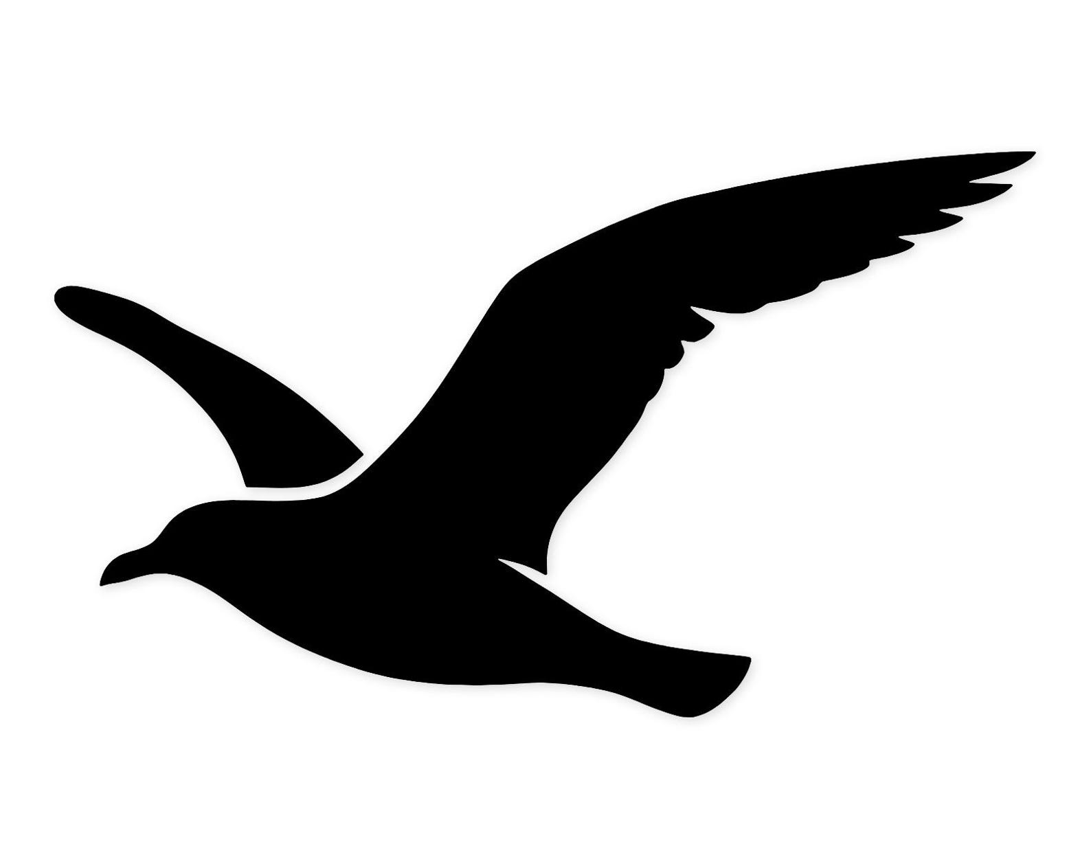 Single Seagull Svg Png: Cut Ready Digital Design for Cricut Silhouette ...