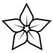 Starflower Outline Svg Png: Clean Line Art for Cricut Projects - Etsy
