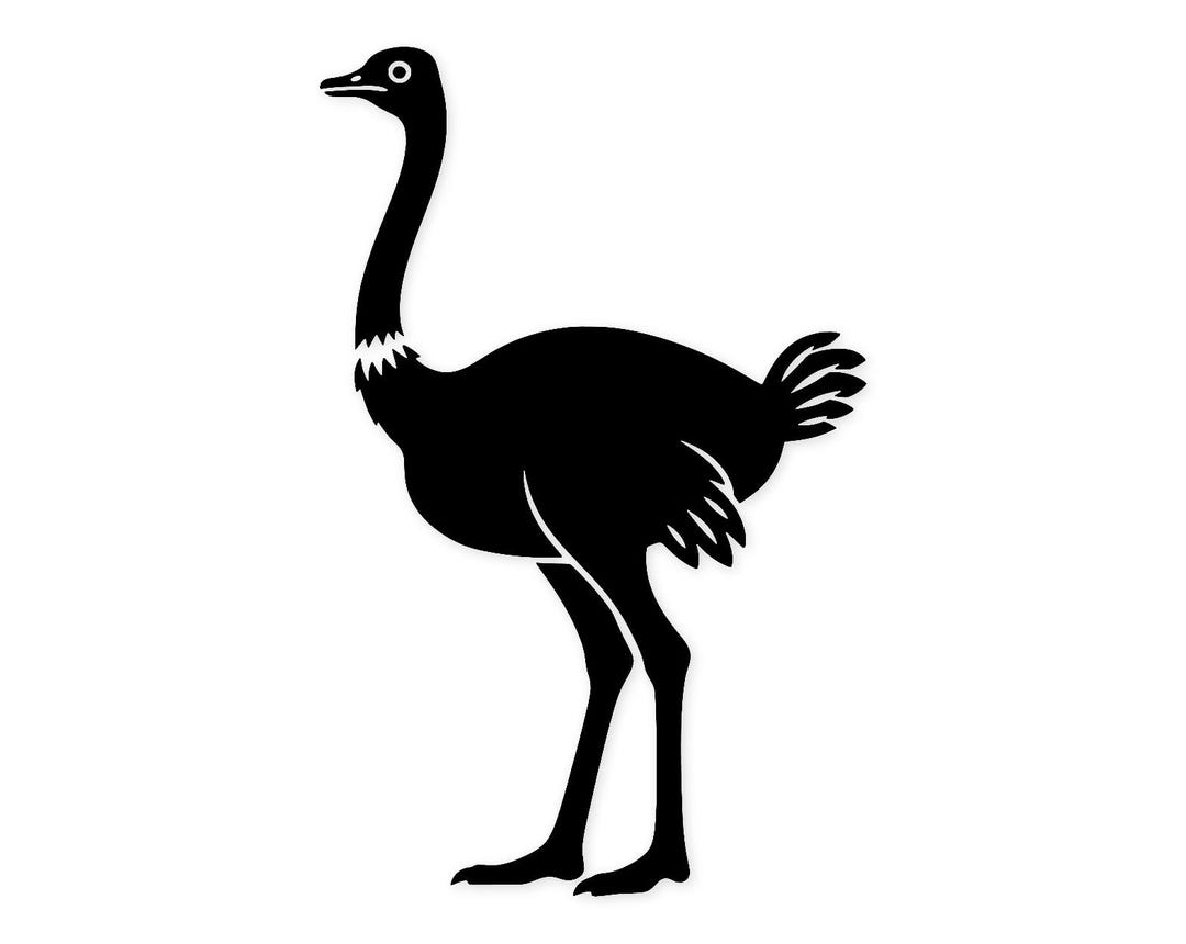 Ostrich Profile Svg Png: Bold Design for Cricut Use - Etsy