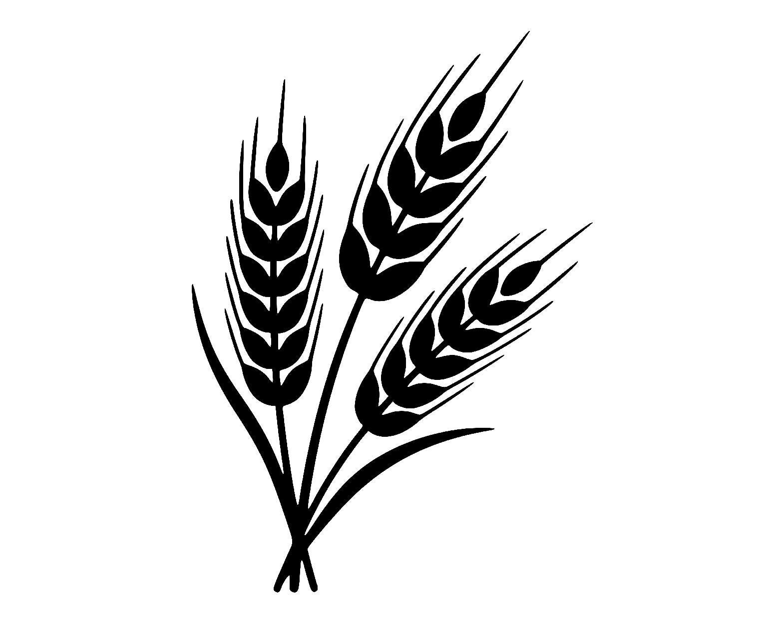 Wheat Sheaf Svg Png: Cut Ready Digital Design for Cricut Silhouette - Etsy