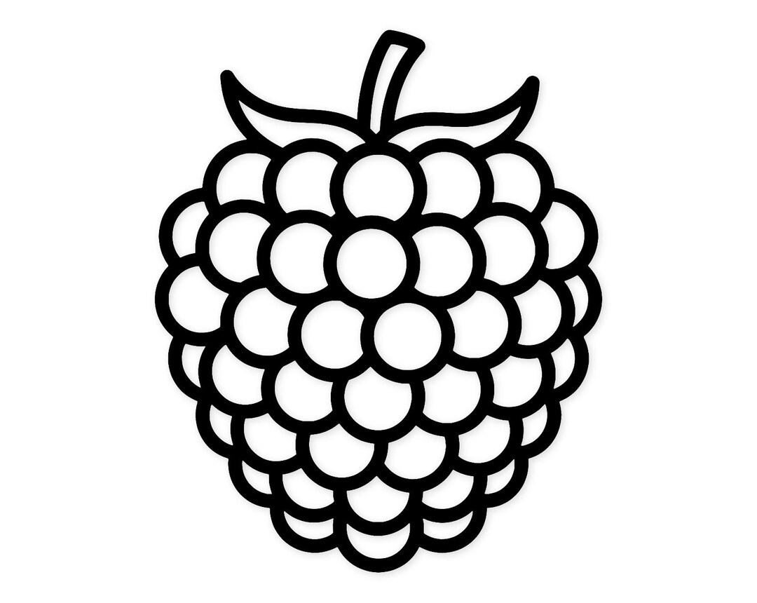 Single Raspberry Svg Png: Cut Ready Digital Design for Cricut ...