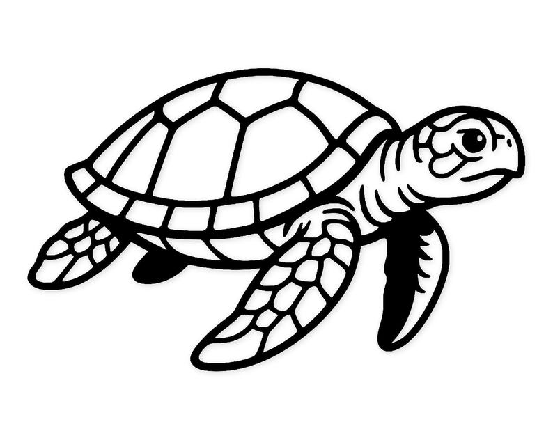 Turtle Profile Svg Png: Minimalist Clean Design for Cricut - Etsy
