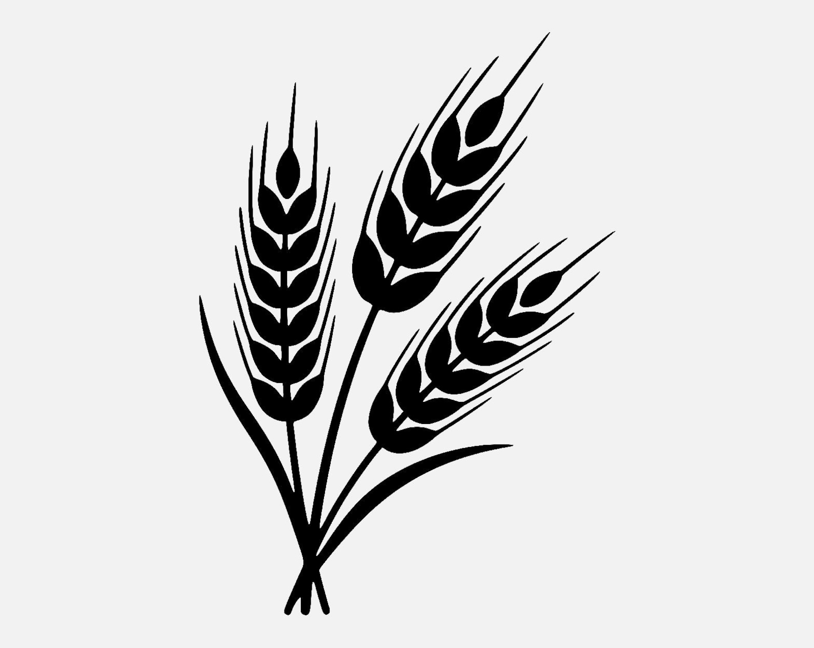 Wheat Sheaf Svg Png: Cut Ready Digital Design for Cricut Silhouette - Etsy