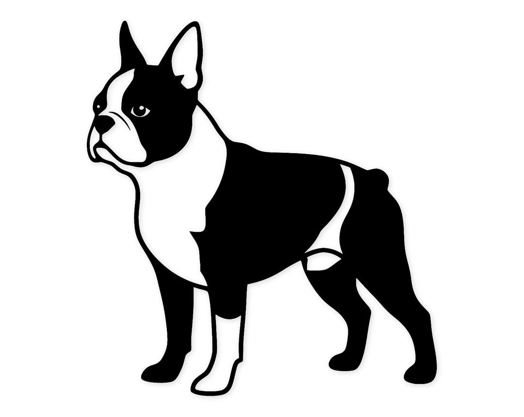 Boston Terrier Side View Svg Png: Cut Ready Digital Design for Cricut ...