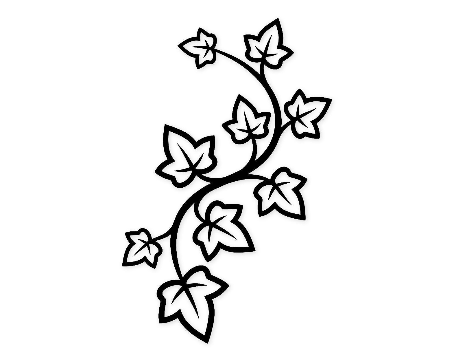 Ivy Branch Svg Png: Clean Line Art for Cricut Projects - Etsy