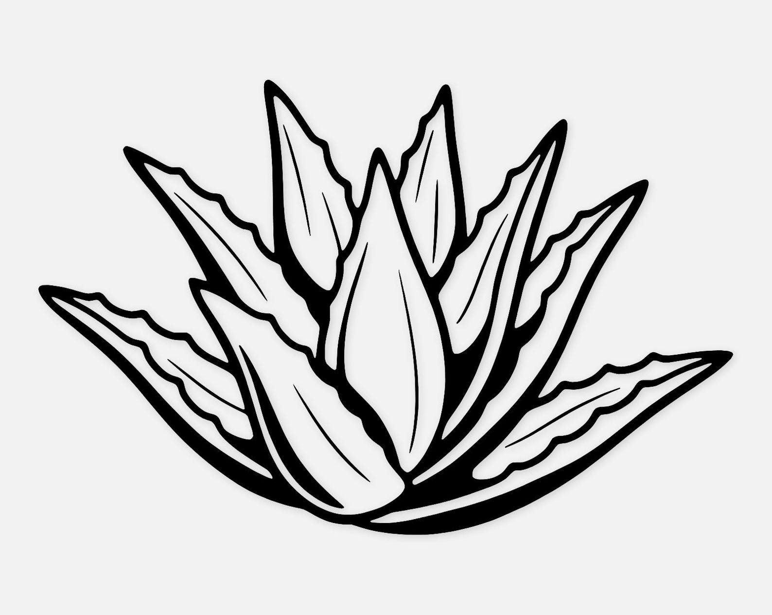 Aloe Vera Svg Png: Cut Ready Digital Design for Cricut Silhouette - Etsy
