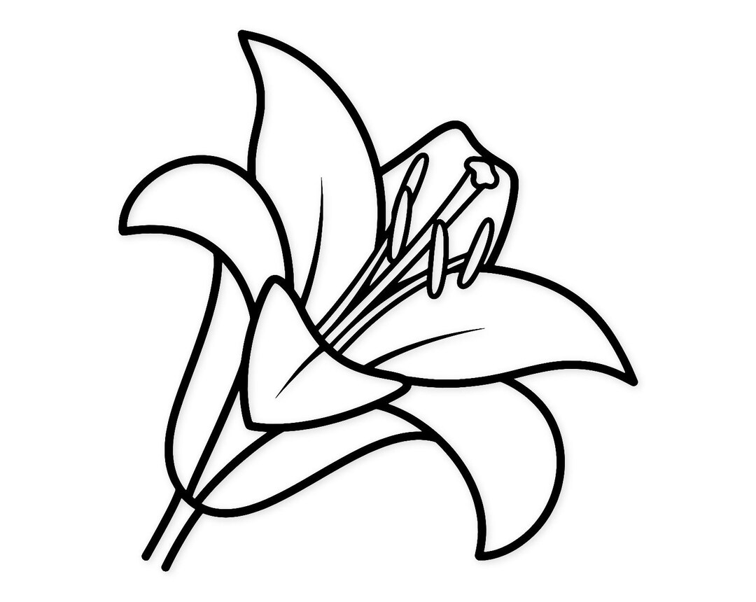 Lily Blossom Outline Svg Png: Clean Line Art for Cricut Projects - Etsy