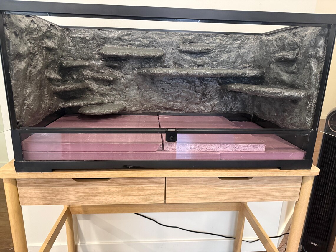 Reptile Enclosure Background - Etsy