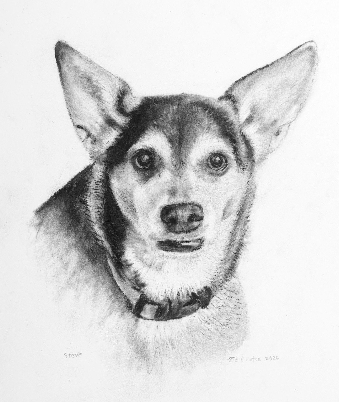Custom Hand-drawn Pet Portrait: Graphite Dog or Cat Memorial Art - Etsy