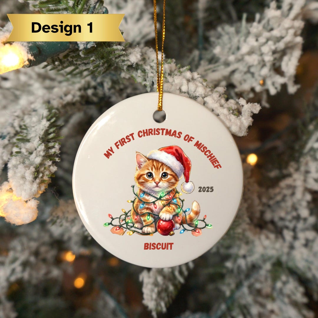 1st Christmas With Orange Tabby Mischief Kitten L Personalized Stocking ...