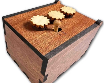 Secret Lock Box II Can You Open the Box... Put a Gift Inside - Etsy