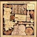 Eye Anatomy Wood Puzzle, Optometry Gift, Optometrist, Eye Doctor, Eye ...
