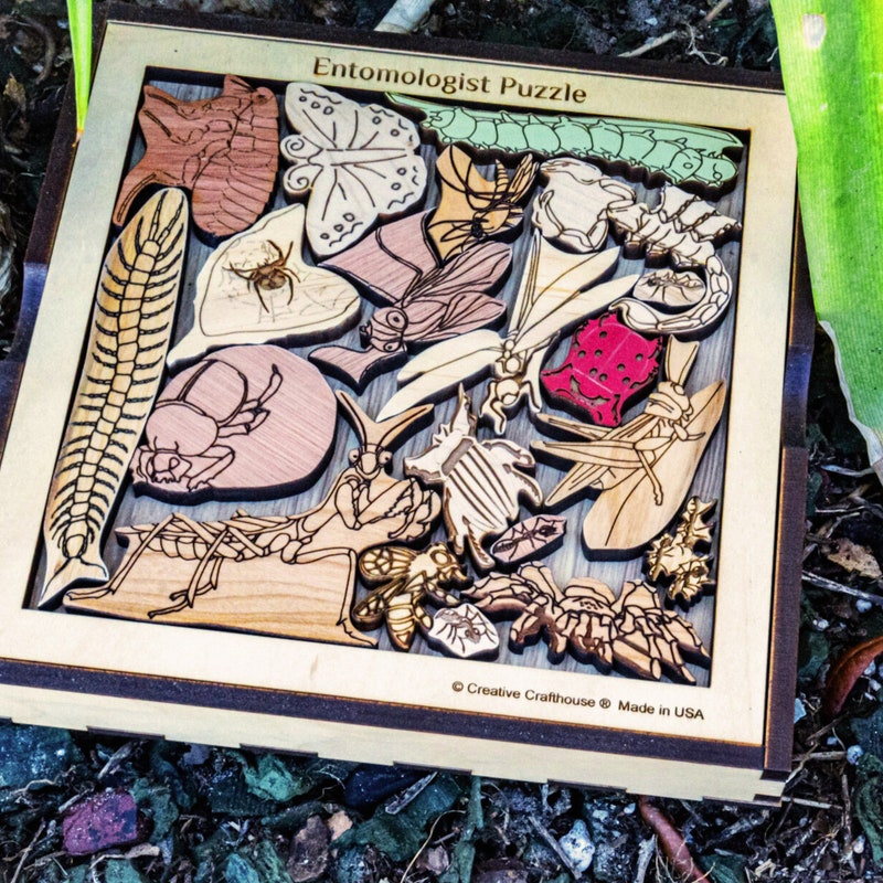 Wooden Bug Puzzles - Etsy