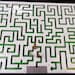 Key Maze Puzzle Acrylic Model Traps a Key Until Maze is - Etsy
