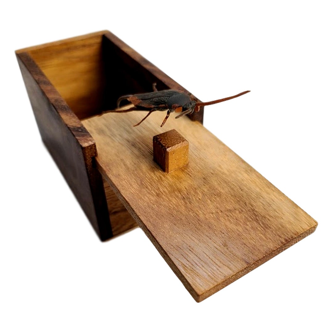 Prank Box, Prank Gift, the Bug Box, Gag Gift Box, Wood Box, Funny Joke ...