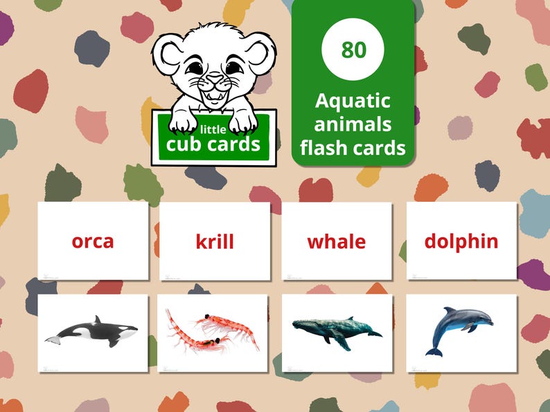 80 Aquatic Animal Flashcards for Children - Etsy