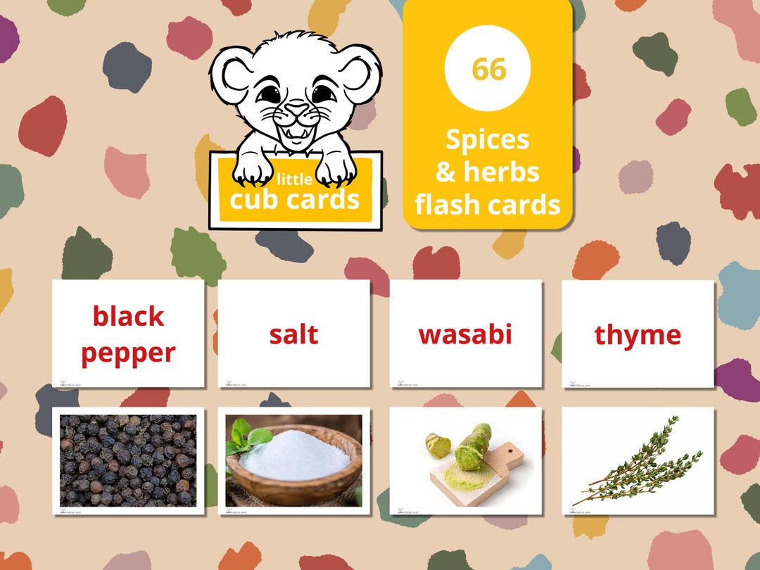 66 Herbs & Spices Flashcards for Children - Etsy
