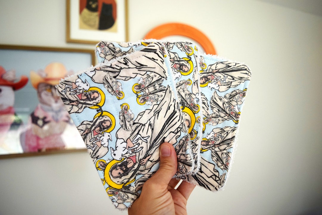 Jesus and the Lamb Print Three Layer Reusable Sponge Set With Mixed ...