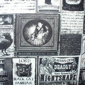 Wicked Times Newspaper Halloween Fabric Wicked CD1825 - Etsy