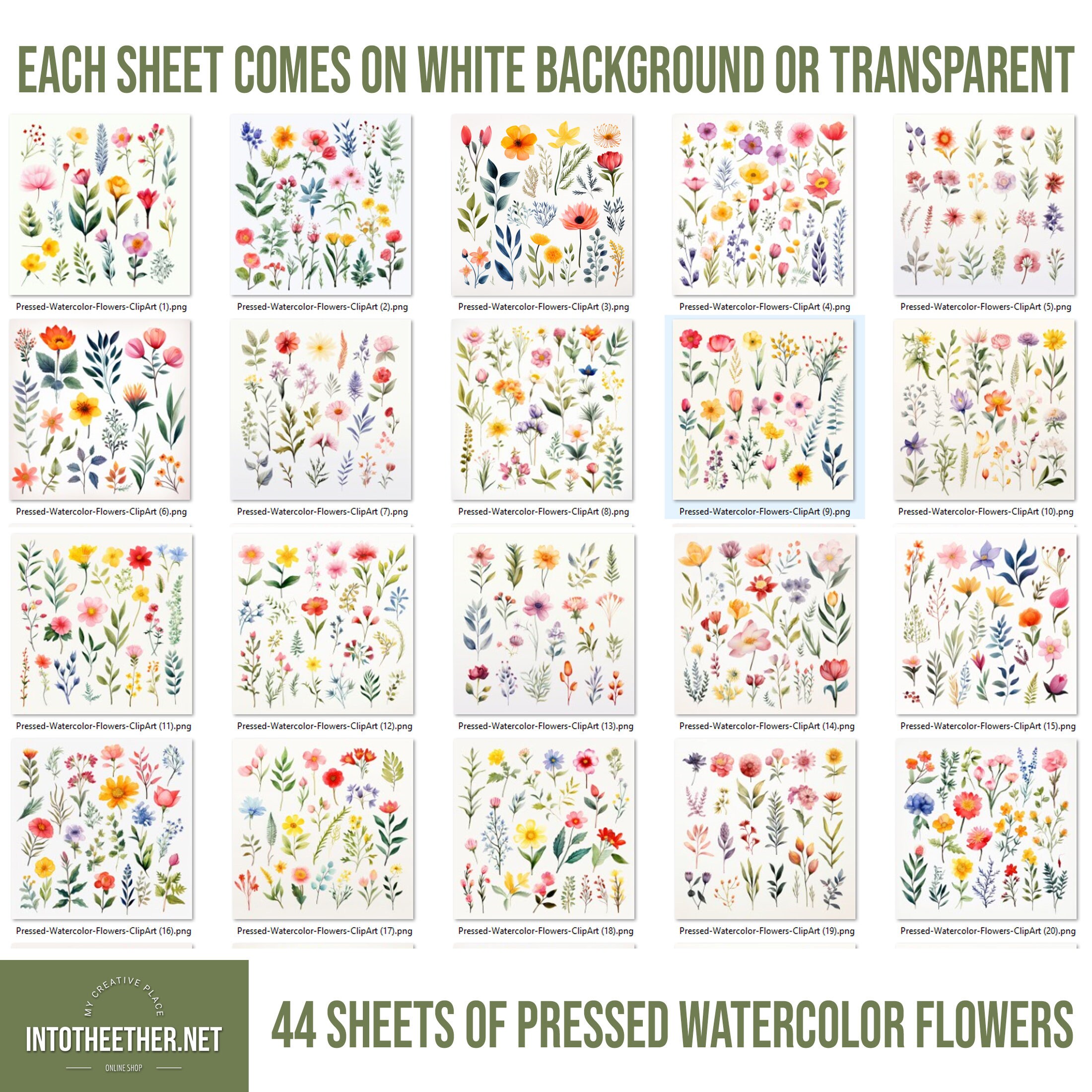 PRESSED WATERCOLOR FLOWER Clip Art Bundle 44 Digital Clipart - Etsy