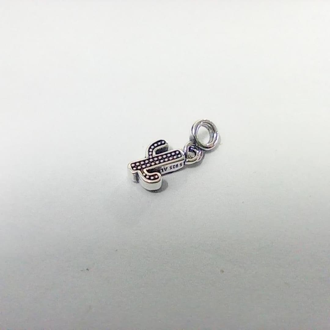 Pandora Me Mini Cactus Charm - Etsy