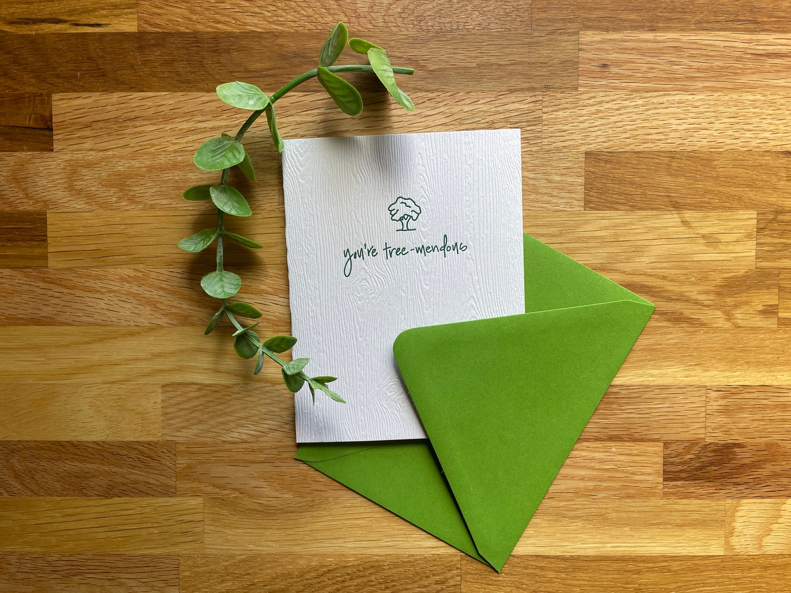 Letterpress Tree Pun Card Set 6 Any Occasion Cards With Minimal Symbol ...