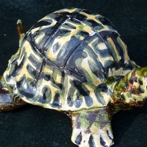Box Turtle Sculpture Handmade in US From a Lump of Clay Sold by Artist ...