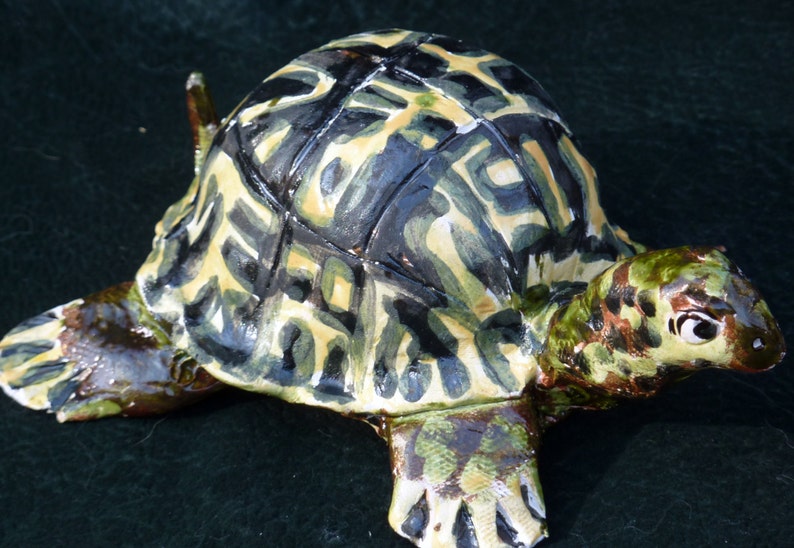Box Turtle Sculpture Handmade in US From a Lump of Clay Sold by Artist ...