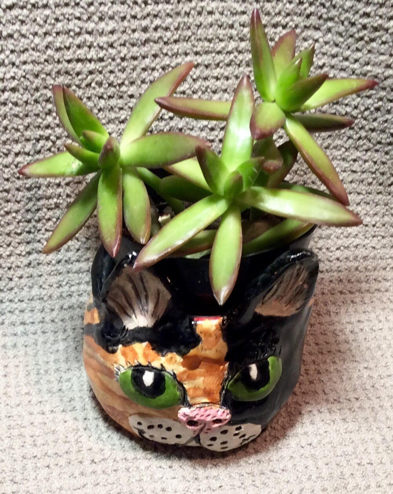 Cat Planter Custom Made to Look Like Your Kitty - Etsy