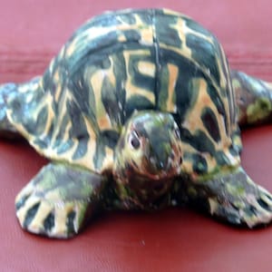 Box Turtle Sculpture Handmade in US From a Lump of Clay Sold by Artist ...
